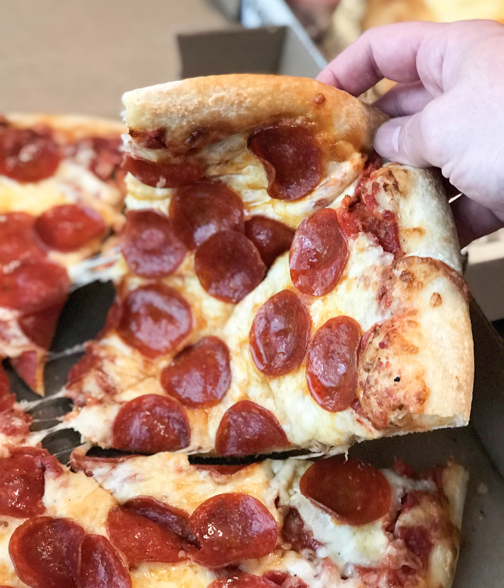 Michigan Pizza – Michigan Chews & Brews